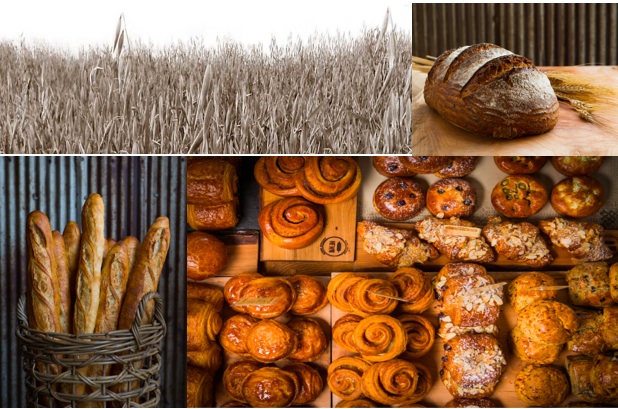 Organic Farming and Bread Making Field Trip led by Hewn and Hazzard ...